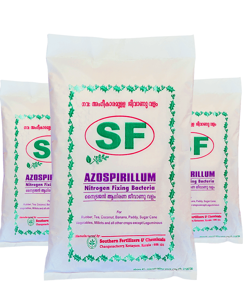 Southern Fertilizers & Chemicals